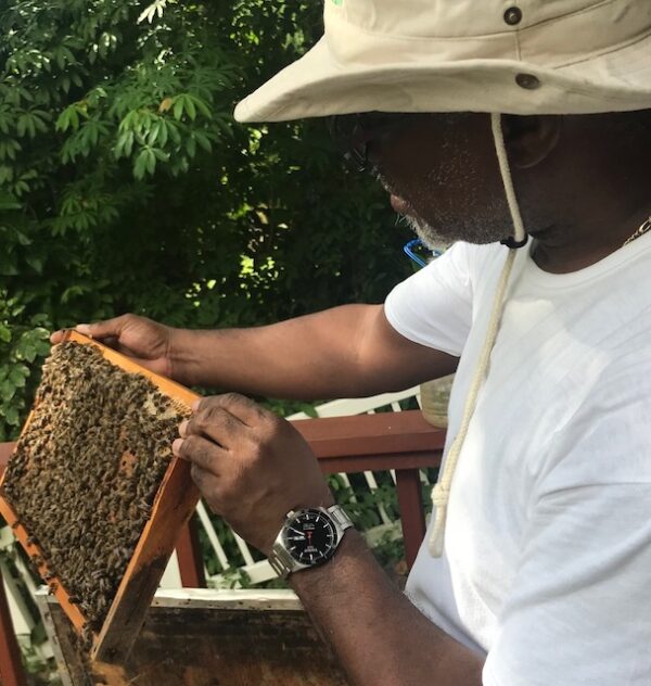 Iyanola Apiculture Collective – More Than Just Honey