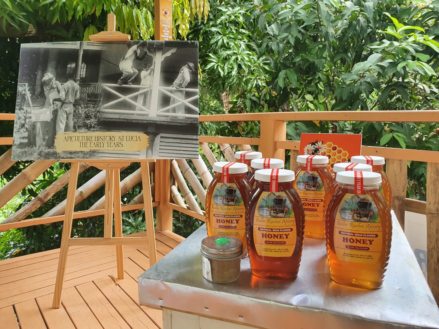 Iyanola Apiculture Collective – More Than Just Honey